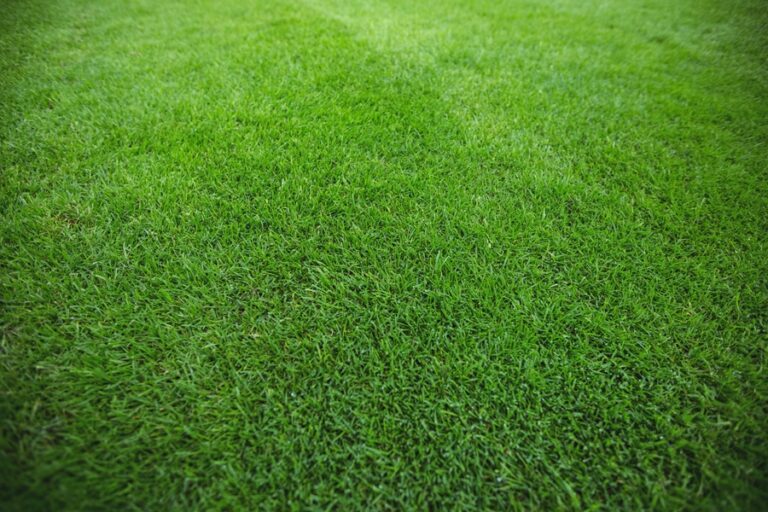 Relva sintética: solução definitiva para jardins impecáveis